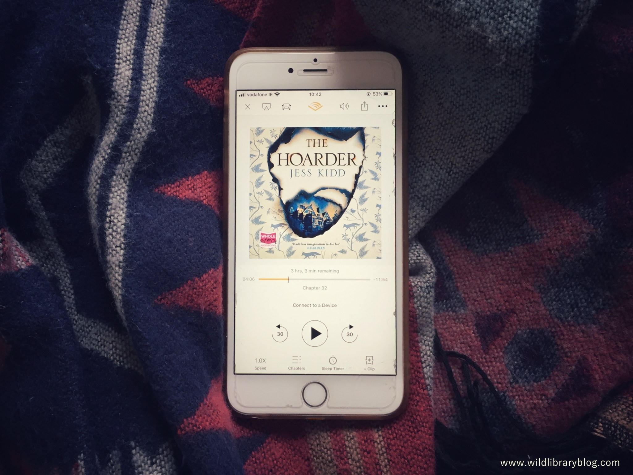 The Hoarder by Jess Kidd – Book Review – Wild Library