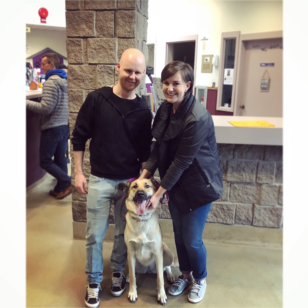 10 Questions: How a Dog’s Love Changed your Life – Candice’s Story ...