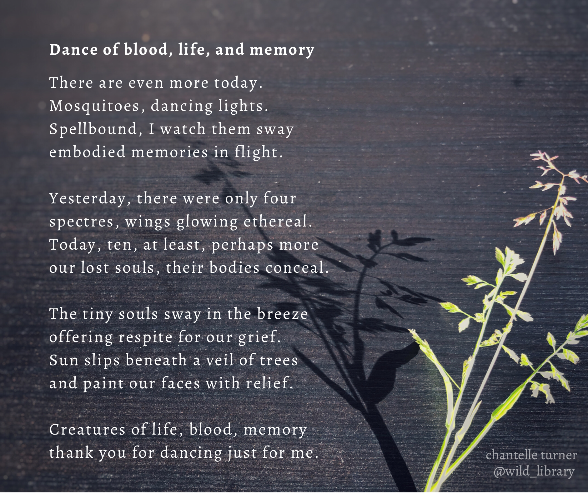 Blood Poems