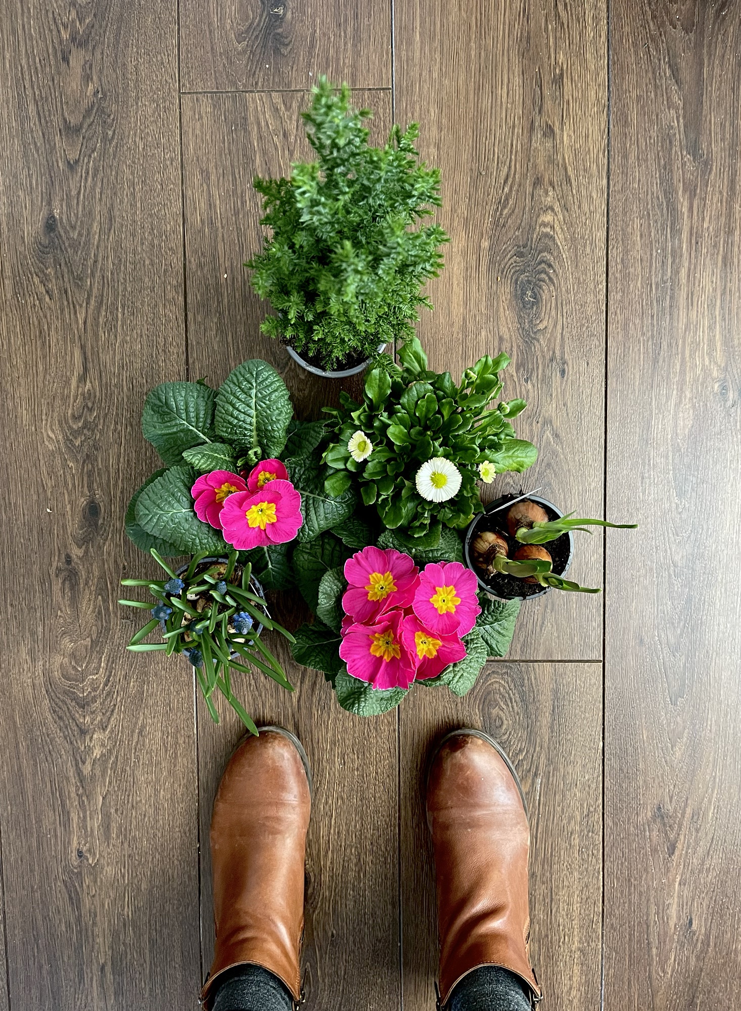 Wild Library – books & plants