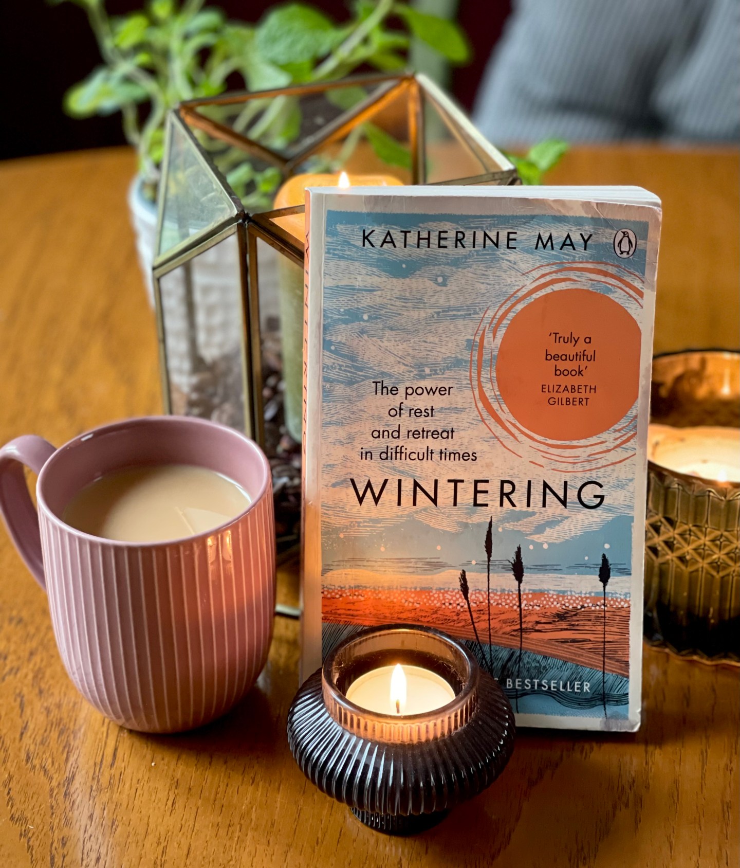 Wintering by Katherine May – Book Review – Wild Library