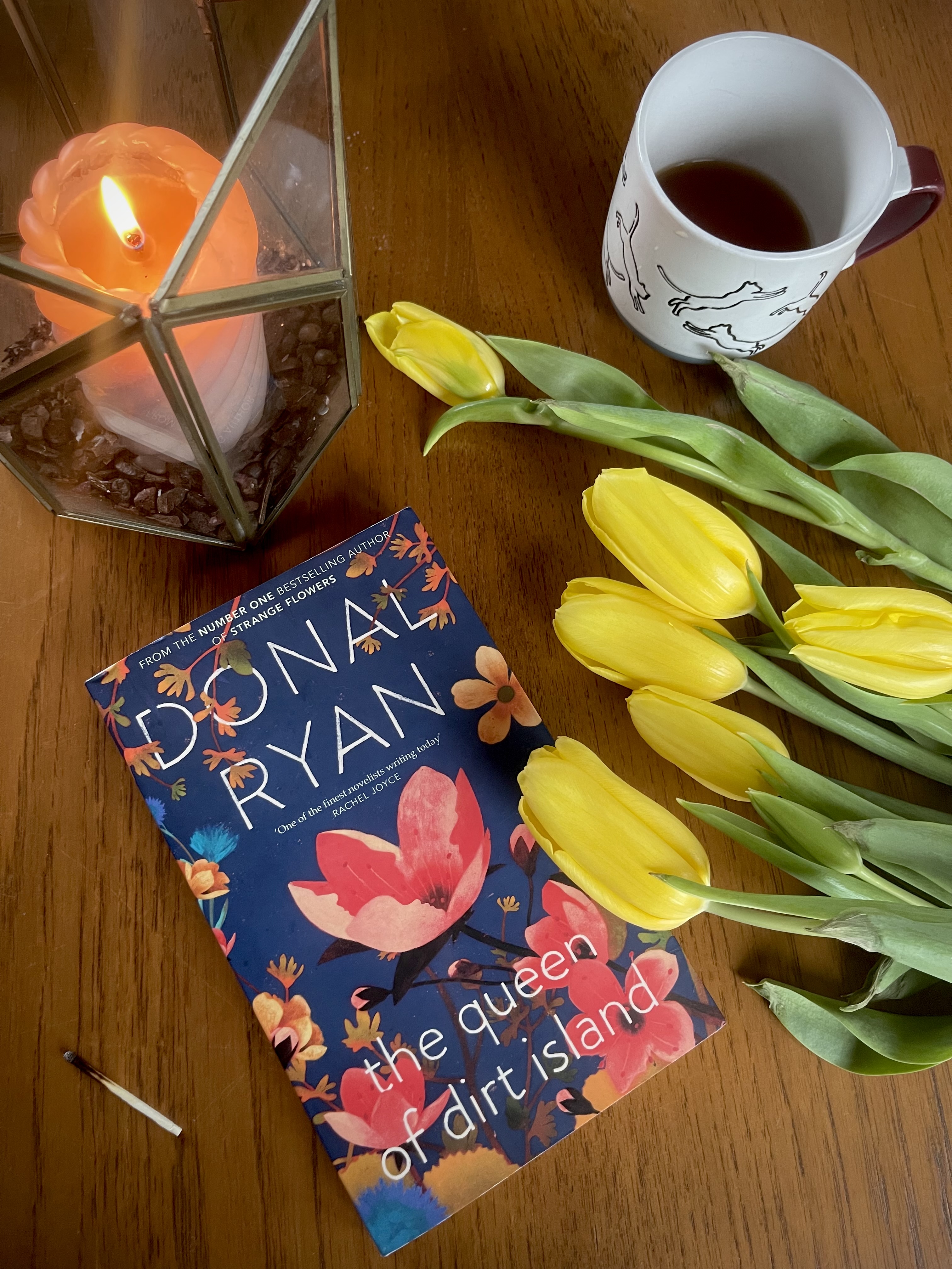 Book recommendation – The Queen of Dirt Island by Donal Ryan – Wild Library